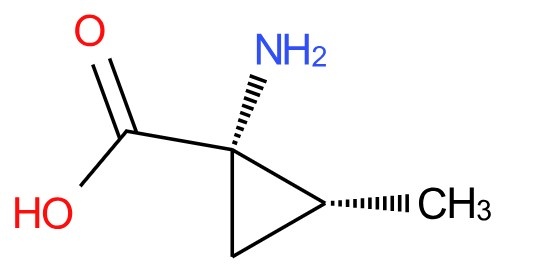 (1S,2R)-1-amino-2-methylcyclopropane-1-carboxylic acid