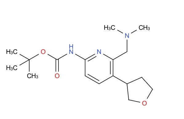 tert-butyl (6-((dimethylamino)methyl)-5-(tetrahydrofuran-3-yl)pyridin-2 ...
